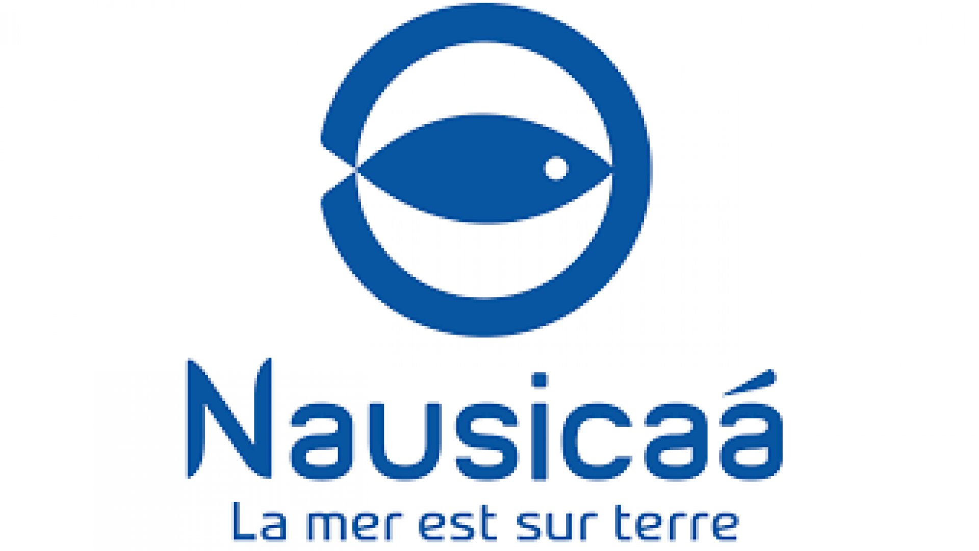 COS de Tourcoing - NAUSICAA