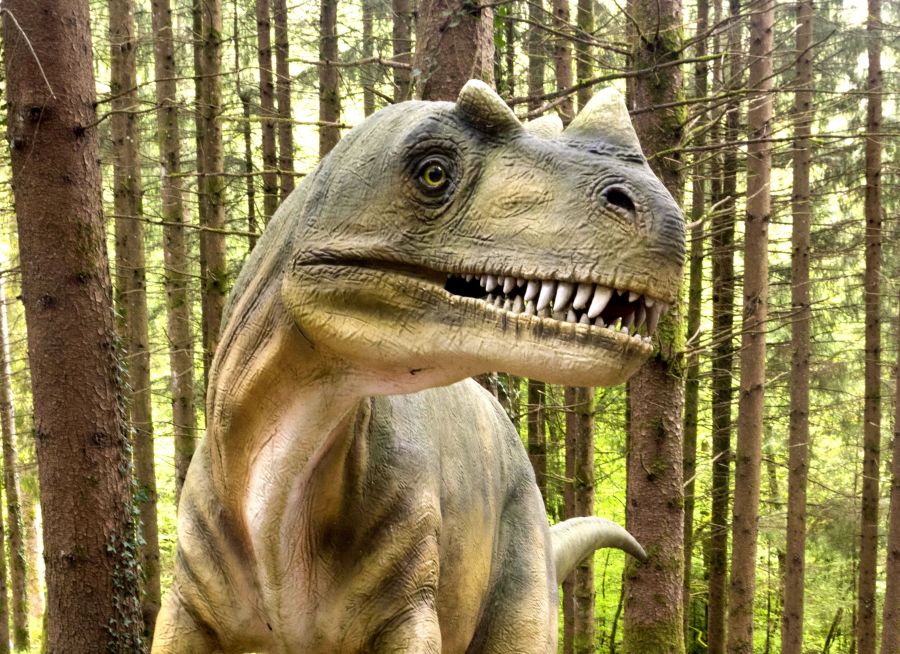 PARC DINO-ZOO : 2021 horaires, tarifs, animaux à voir, animations